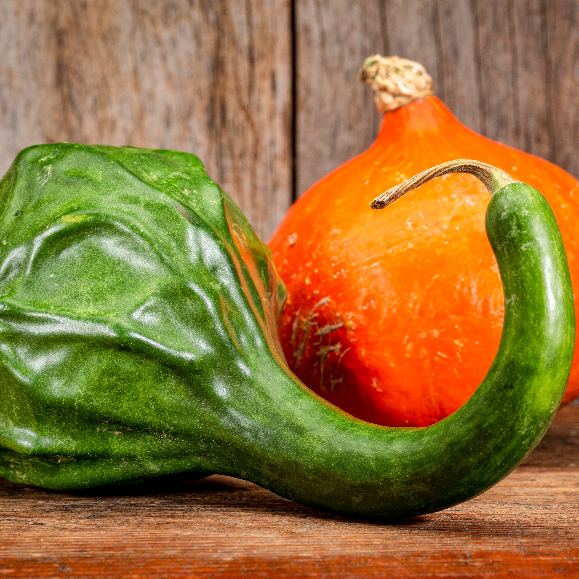 Cavemans Club Gourd - Aka Maranka Gourd - 4 Oz ~624 Seeds - Non-Gmo ...